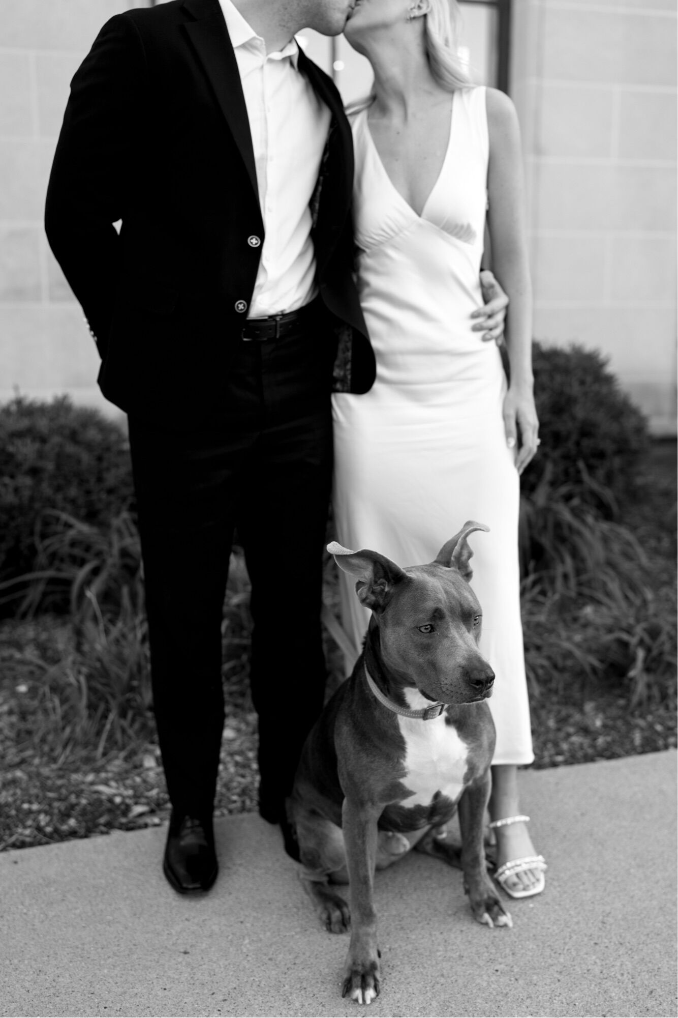 Emily Cahill Wedding Whippany Park Graduates Celebrate In Style