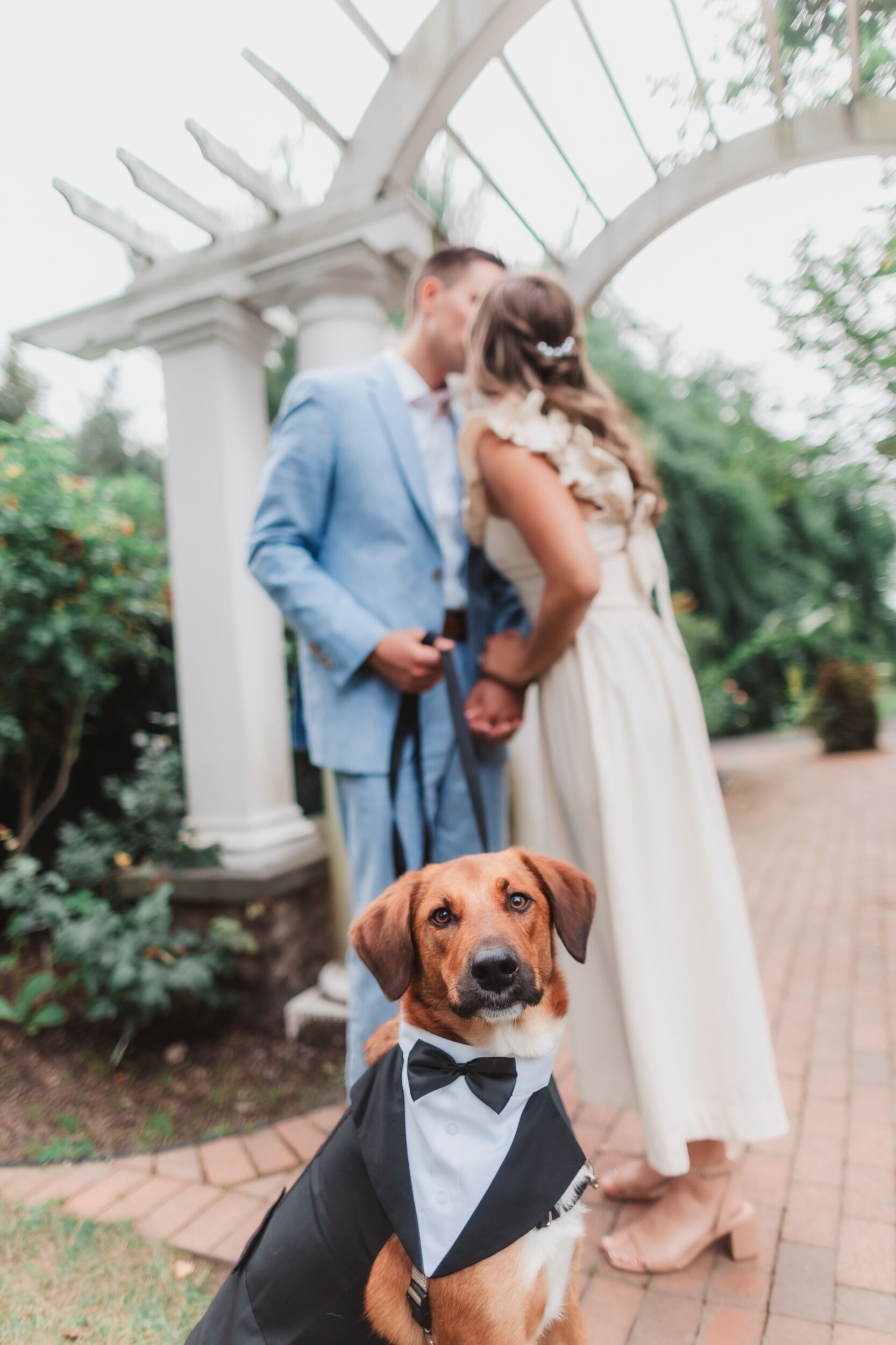 Emily Dunham Wedding In Awe Weddings & Events In South West London