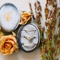 Alicia King Photography | Wedding Photographers - The Knot