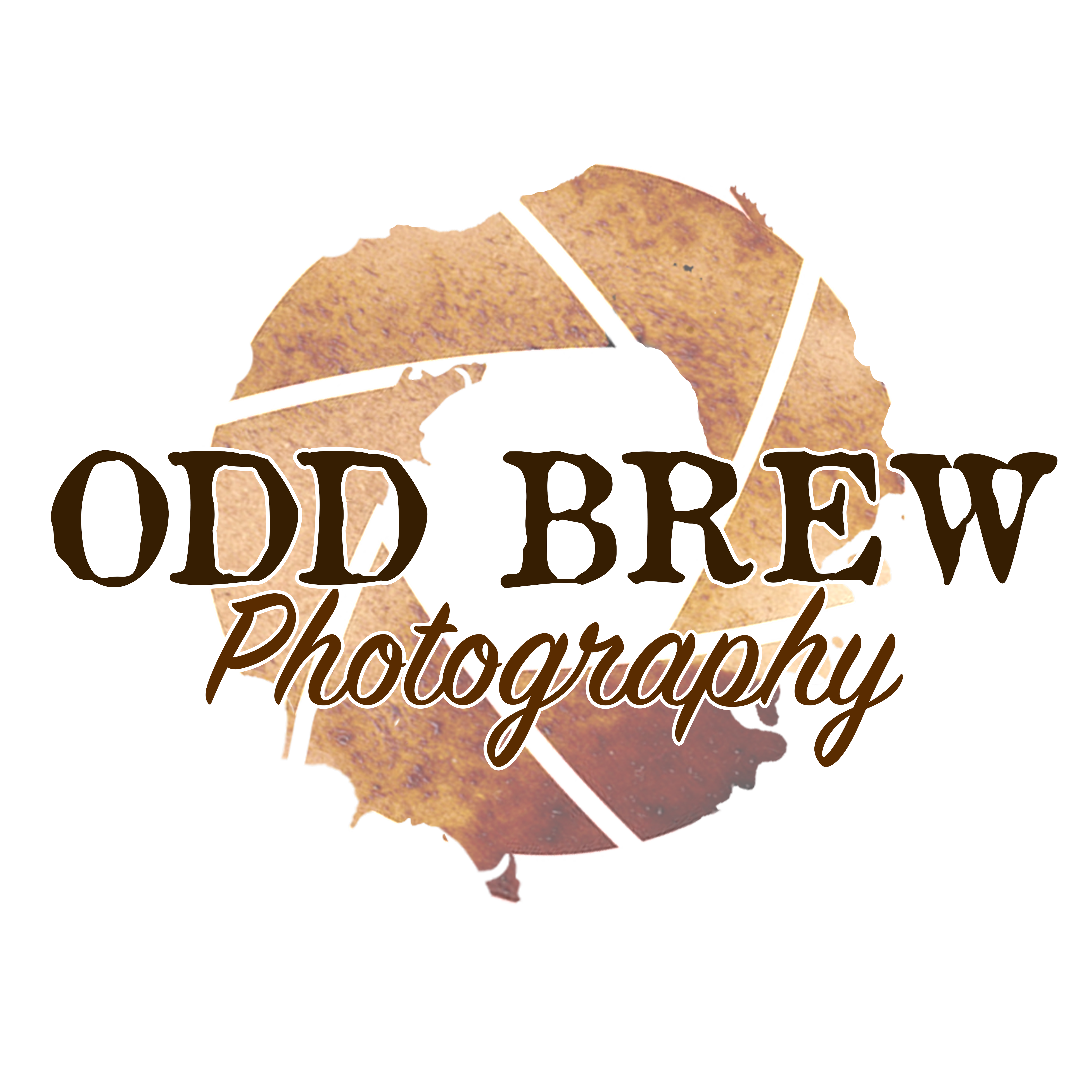 Odd Brew Photography | Wedding Photographers - The Knot