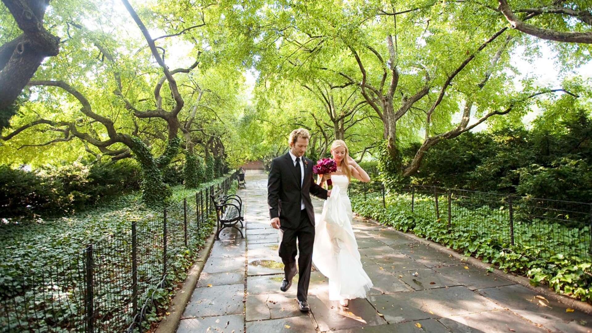 Lisa Hancock Weddings + Updated Prices - The Knot