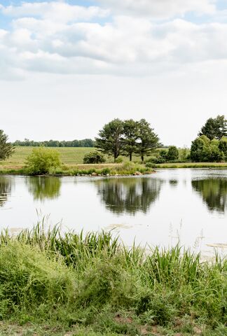 Bortner Valley LLC | Reception Venues - The Knot