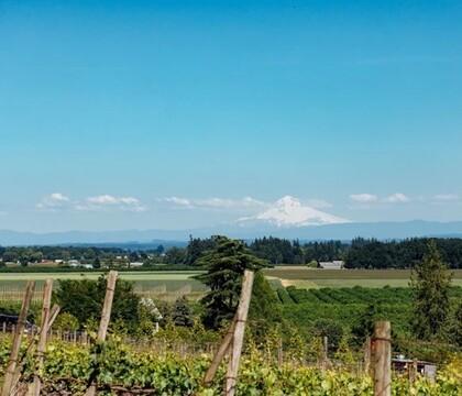 The Butte at Domaine Mathiot + Updated Prices - The Knot