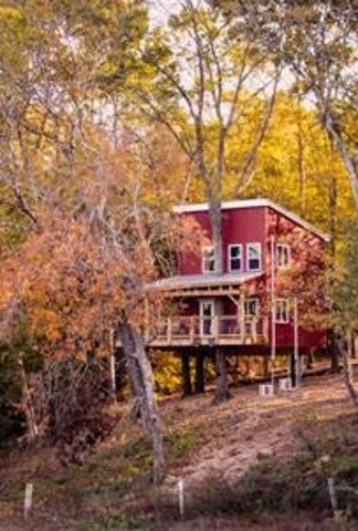 Treehouse Vineyards | Monroe, NC Reception Venues