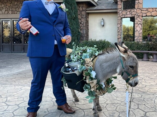 AZ Beer Burro Co. Photos - The Knot