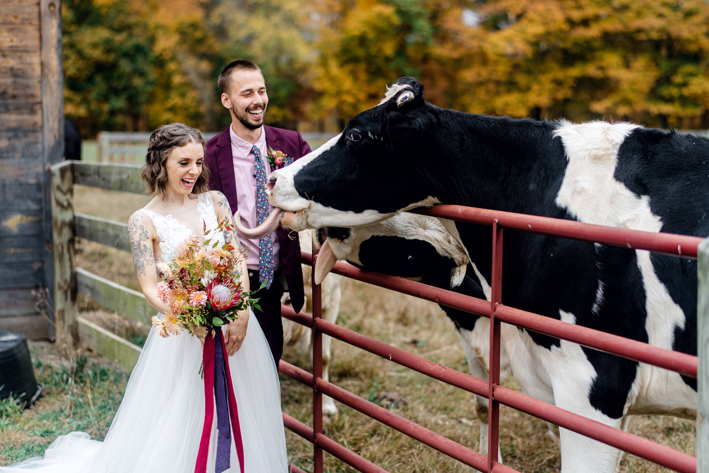 Alicia King Photography + Updated Prices - The Knot