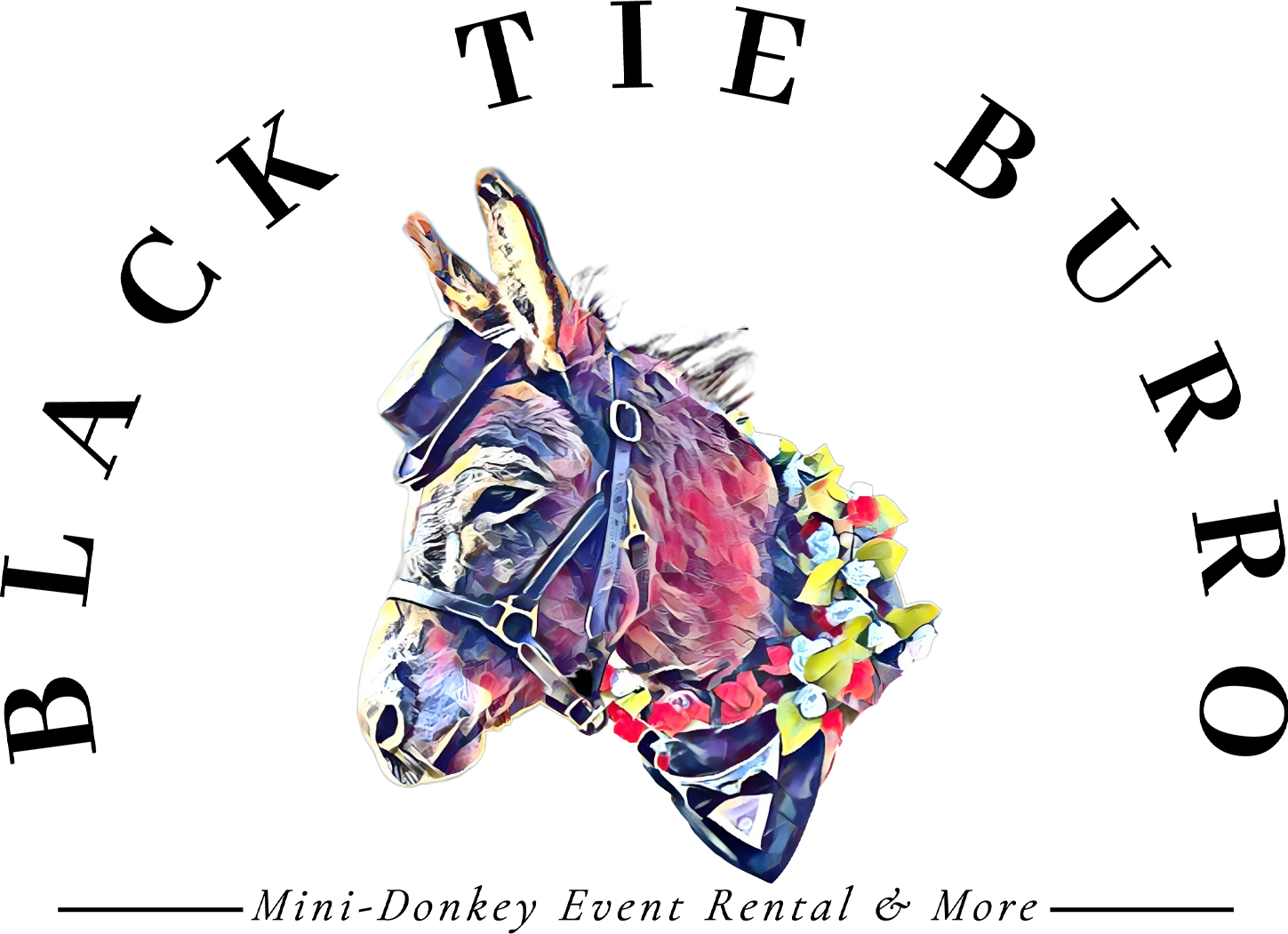 Black Tie Burro + Updated Prices - The Knot