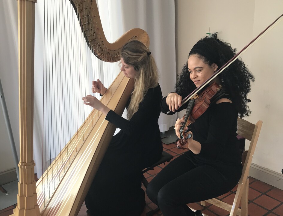 Colleen Stumbo, Harpist + Updated Prices - The Knot