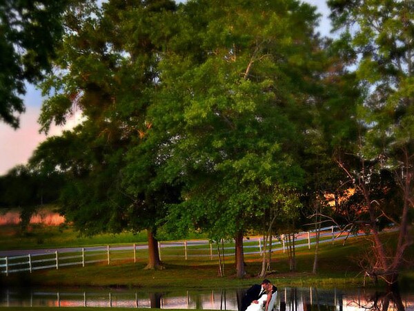 The Farley Estate Photos - The Knot