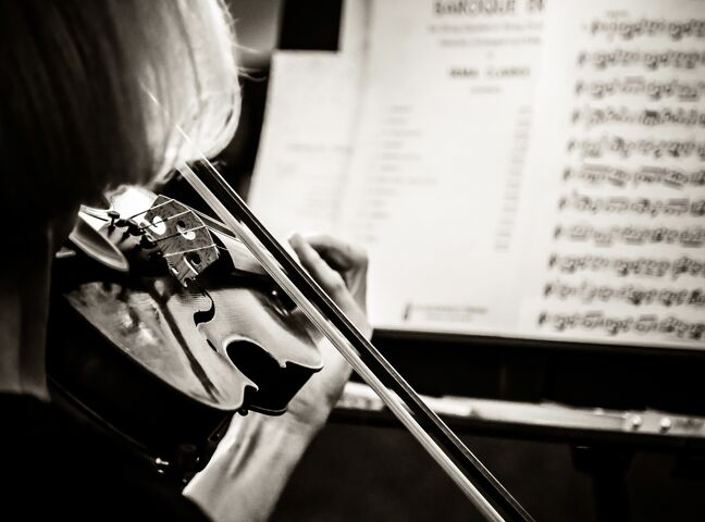 Milwaukee String Quartet | Ensembles & Soloists - The Knot