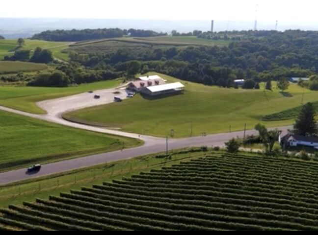 Danzinger Vineyards and Winery | Reception Venues - The Knot