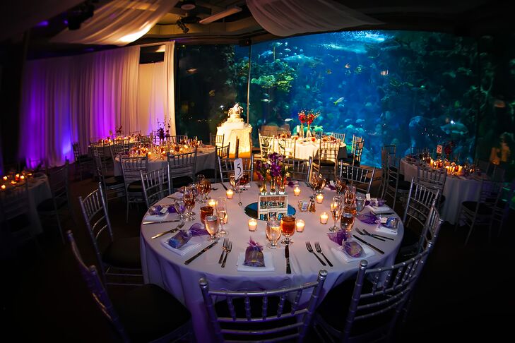 A Sea Themed Wedding at the Florida Aquarium in Tampa, Florida