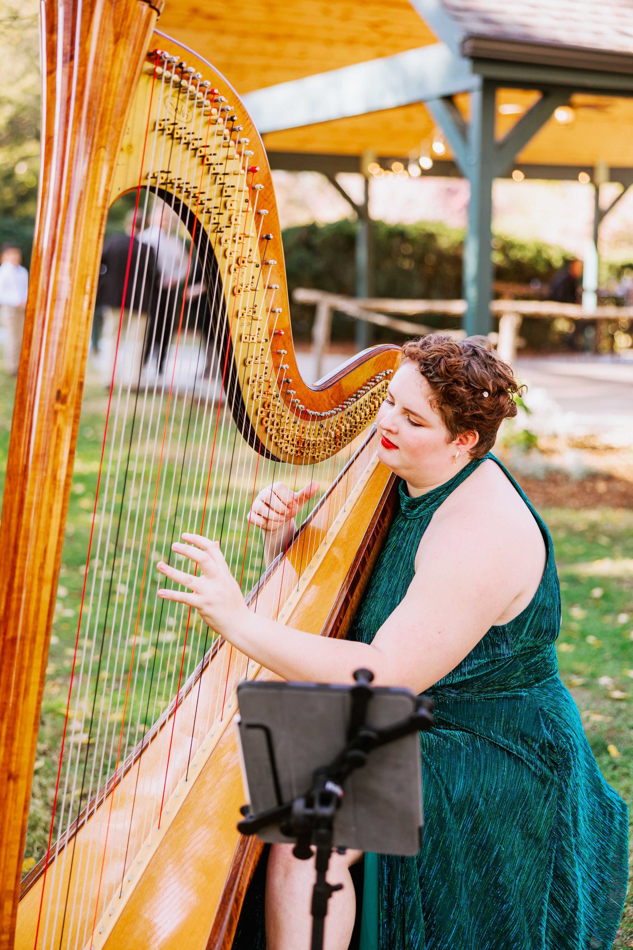Victoria Parrish, Harpist + Updated Prices - The Knot