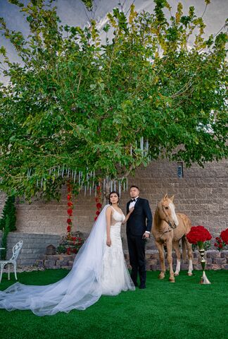 SUNSET CASTLE | Reception Venues - The Knot