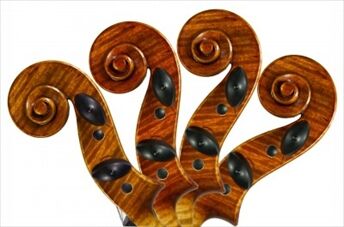 Milwaukee String Quartet | Ensembles & Soloists - The Knot
