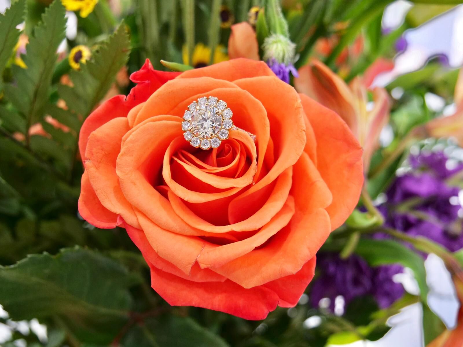 Avior Jewelry | Jewelers - The Knot