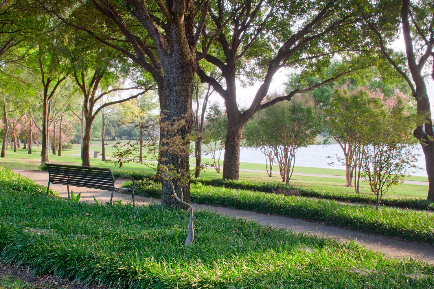 DoubleTree by Hilton Hotel Dallas - Farmers Branch + Updated Prices ...