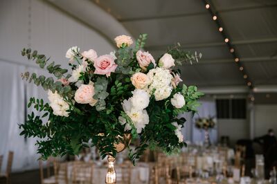 Florists in Washington, DC - The Knot