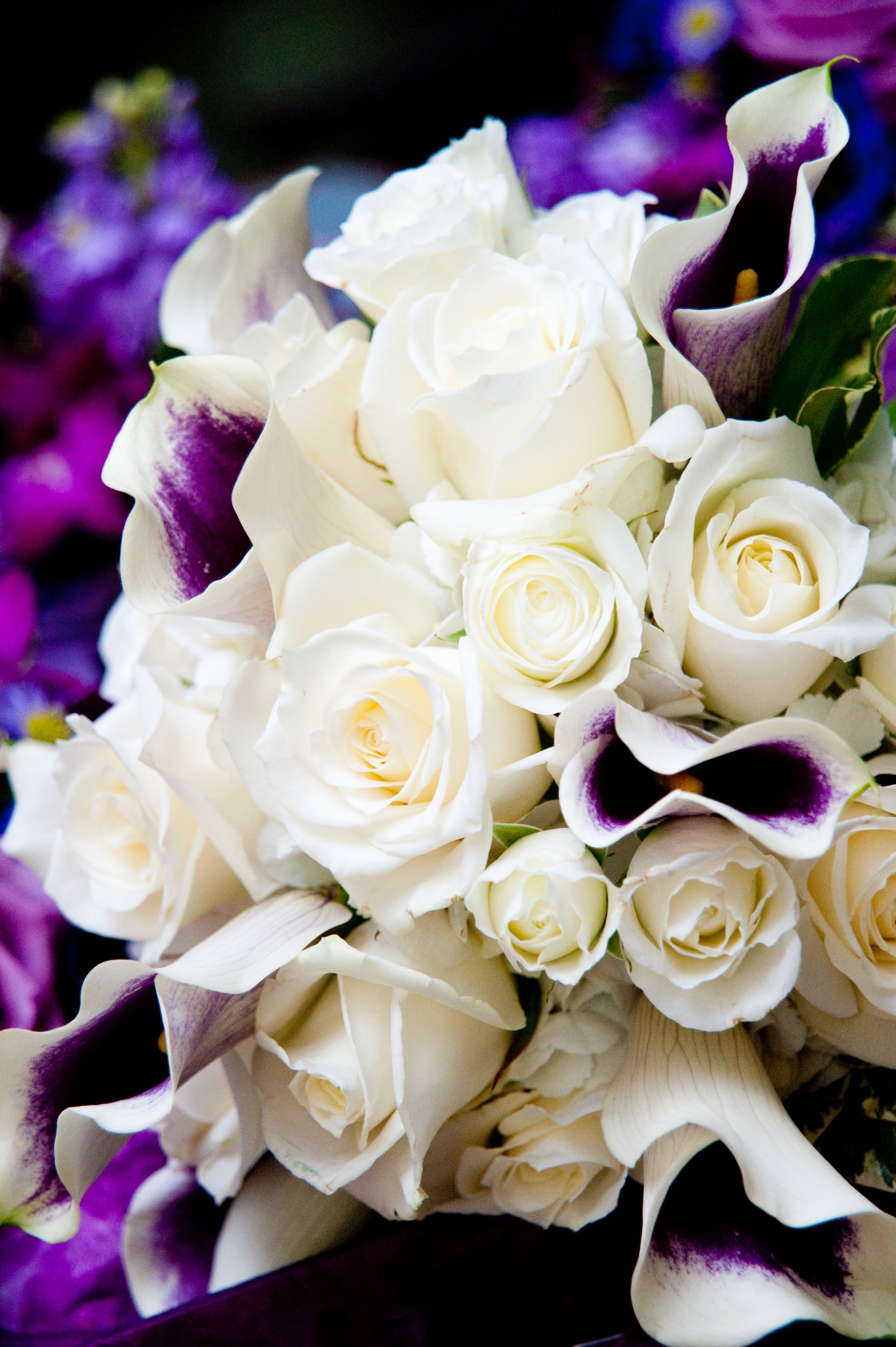 Seville Flower & Gift + Updated Prices - The Knot