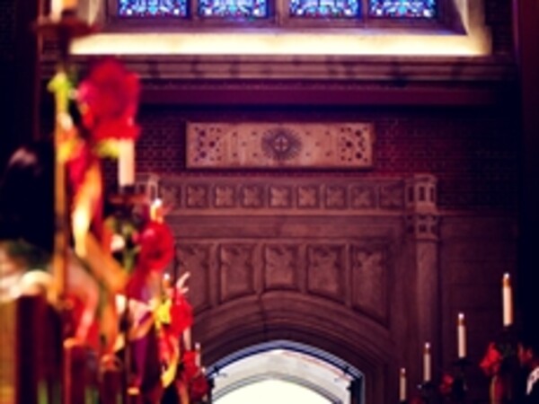 St. Paul's Episcopal Church Photos - The Knot