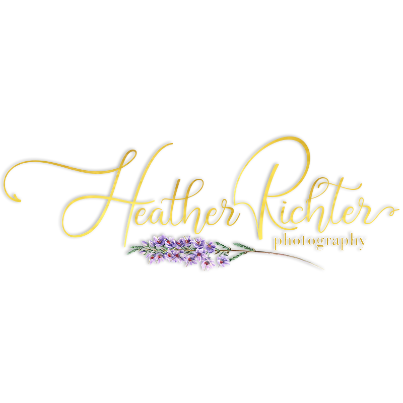Heather Richter Photography + Updated Prices - The Knot