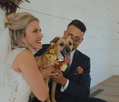 Live Events Missouri LLC + Updated Prices - The Knot