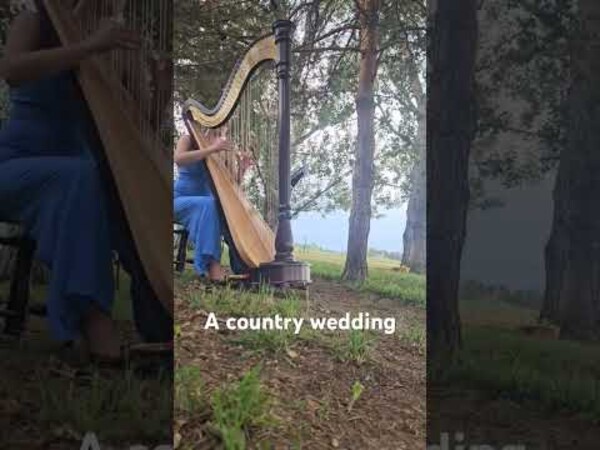 Alexandra Kovatch Harpist Photos - The Knot