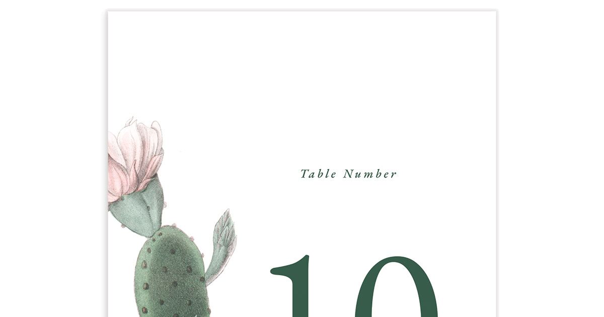 Cactus Blossom Table Numbers