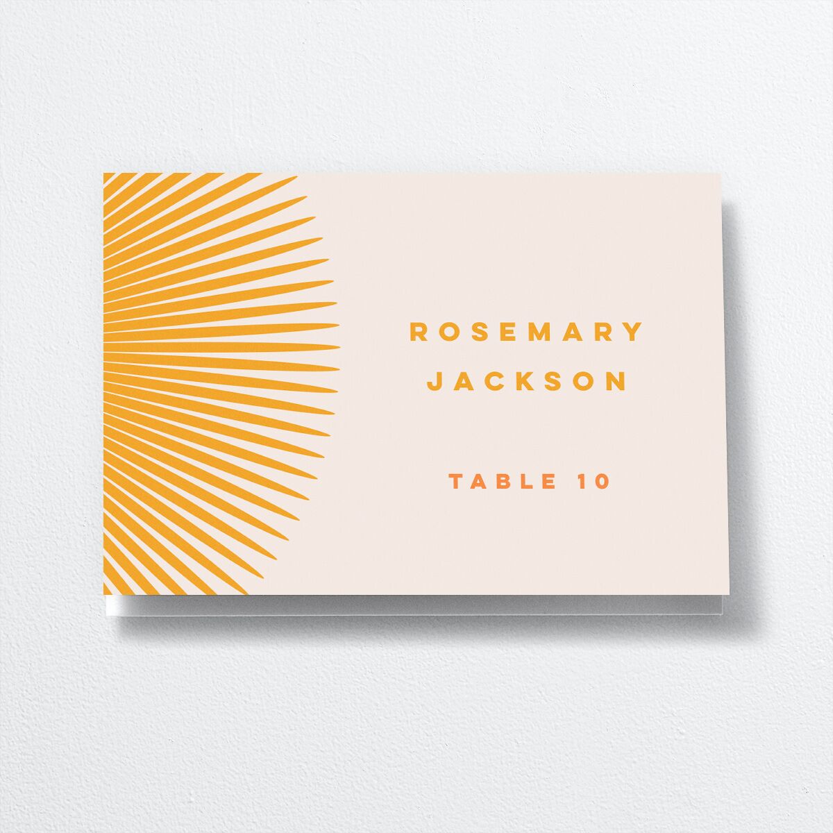 The Knot - Retro Sunburst Place Cards
