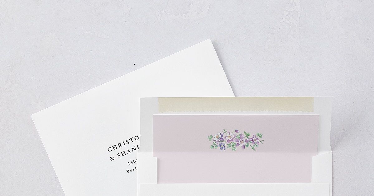 The Knot - Scenic Denver Colorado Envelope Liners