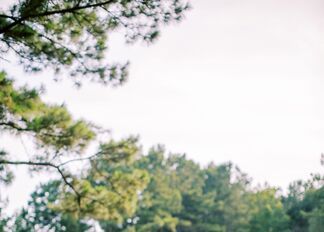The Mackey House | Reception Venues - The Knot